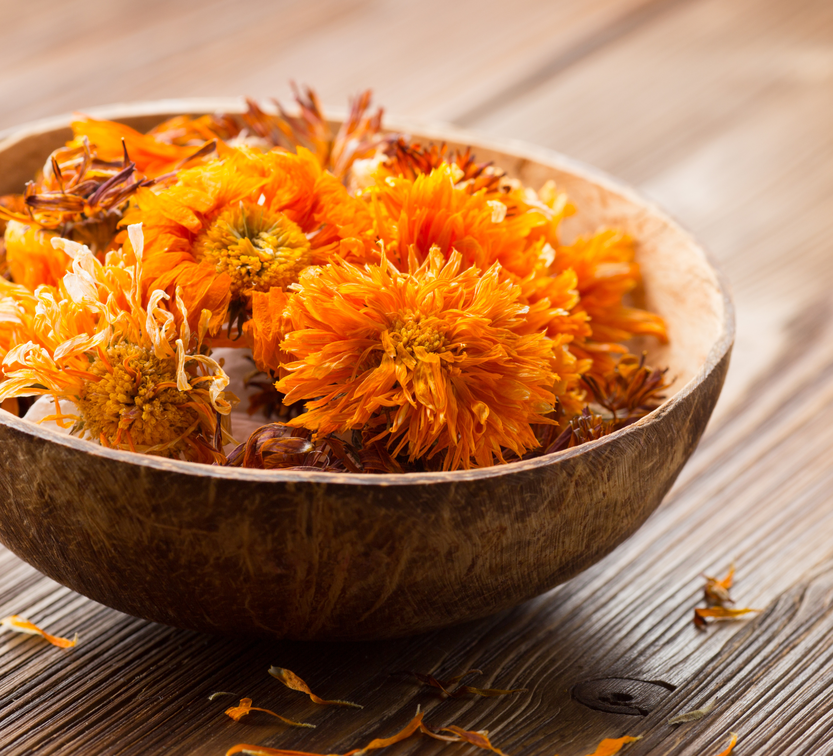 Calendula: The Natural Antiseptic You Need to Know About — Napiers