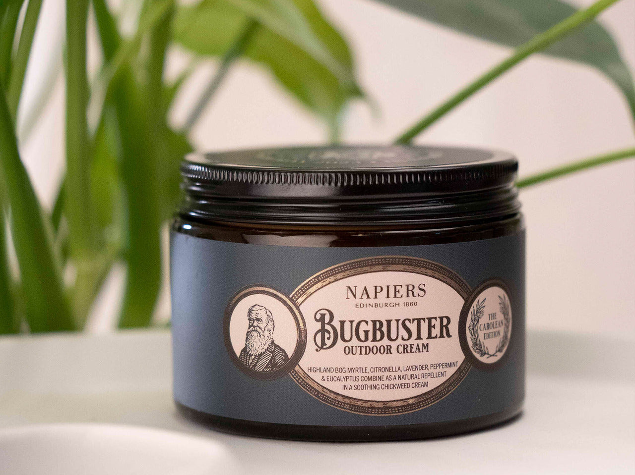 Keeping Insects at Bay: Everything You Need to Know — Napiers