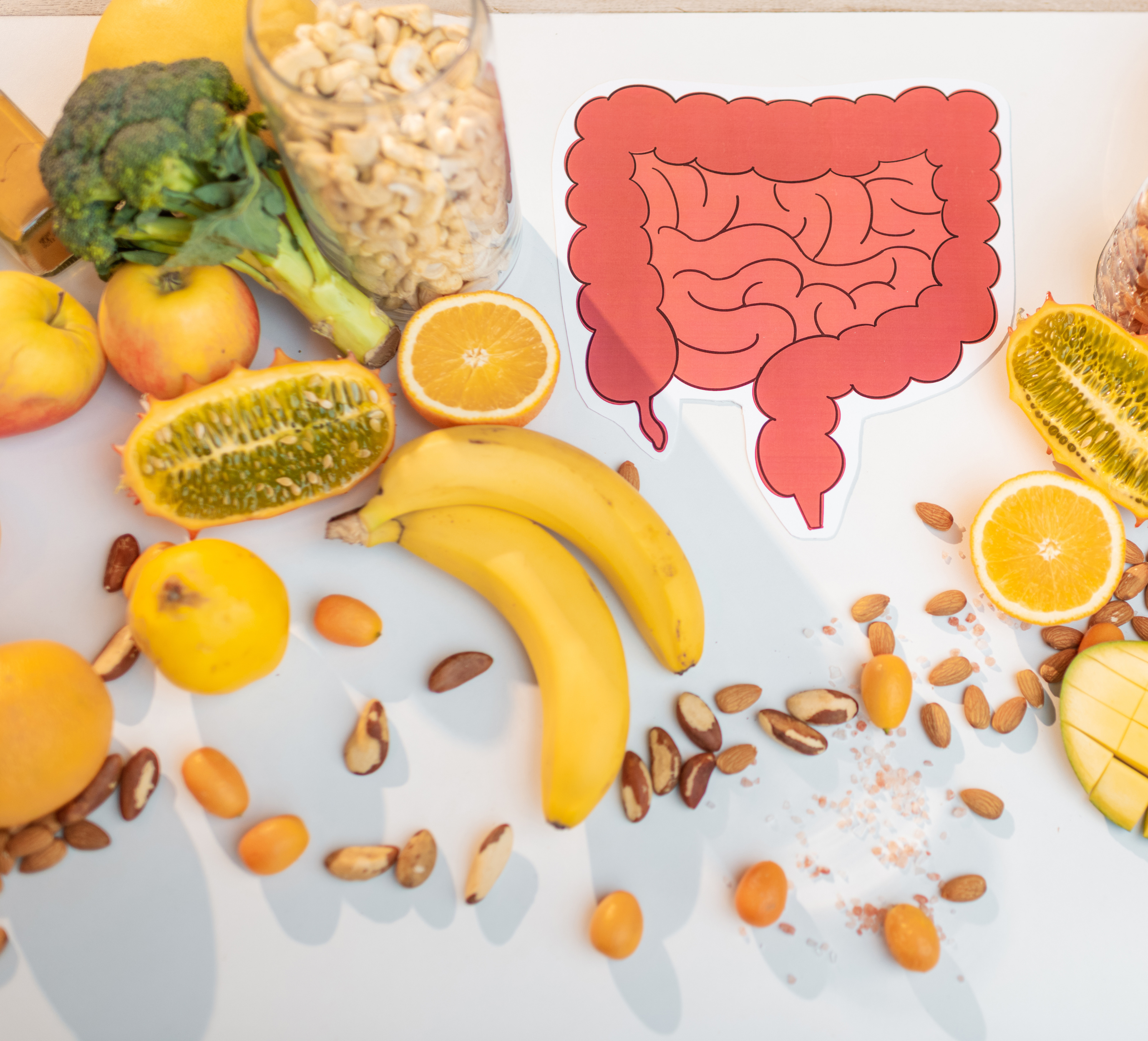 Digestive Wellness Starts with Happy Gut — Napiers
