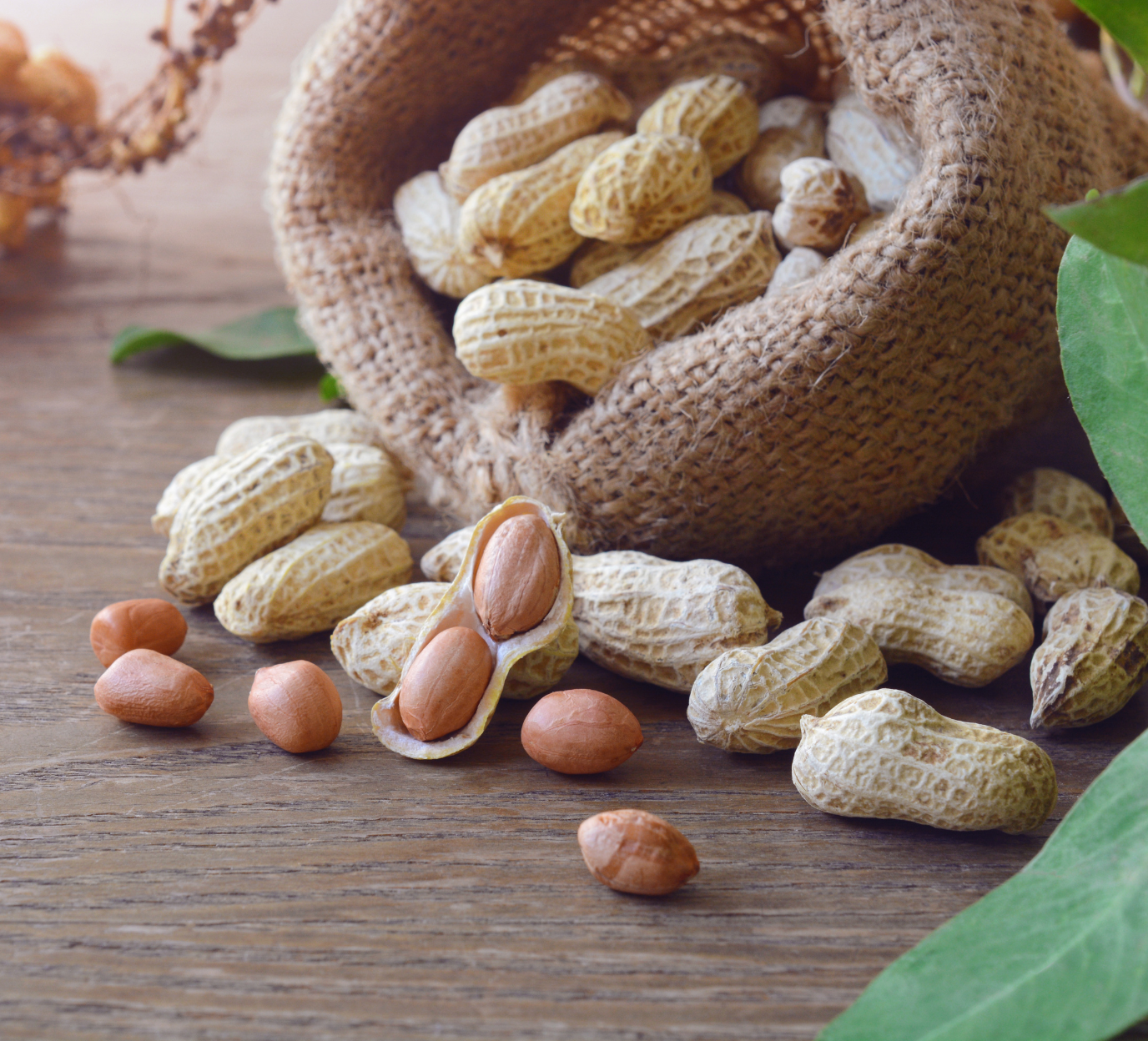 Peanuts and Pregnancy — Napiers