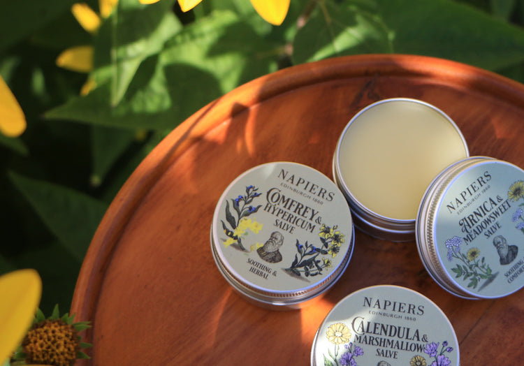 Buhner Lyme Protocol — Napiers