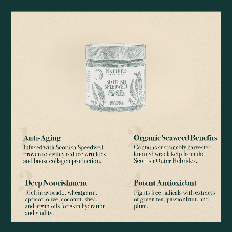 Napiers Speedwell Ageless Night Cream