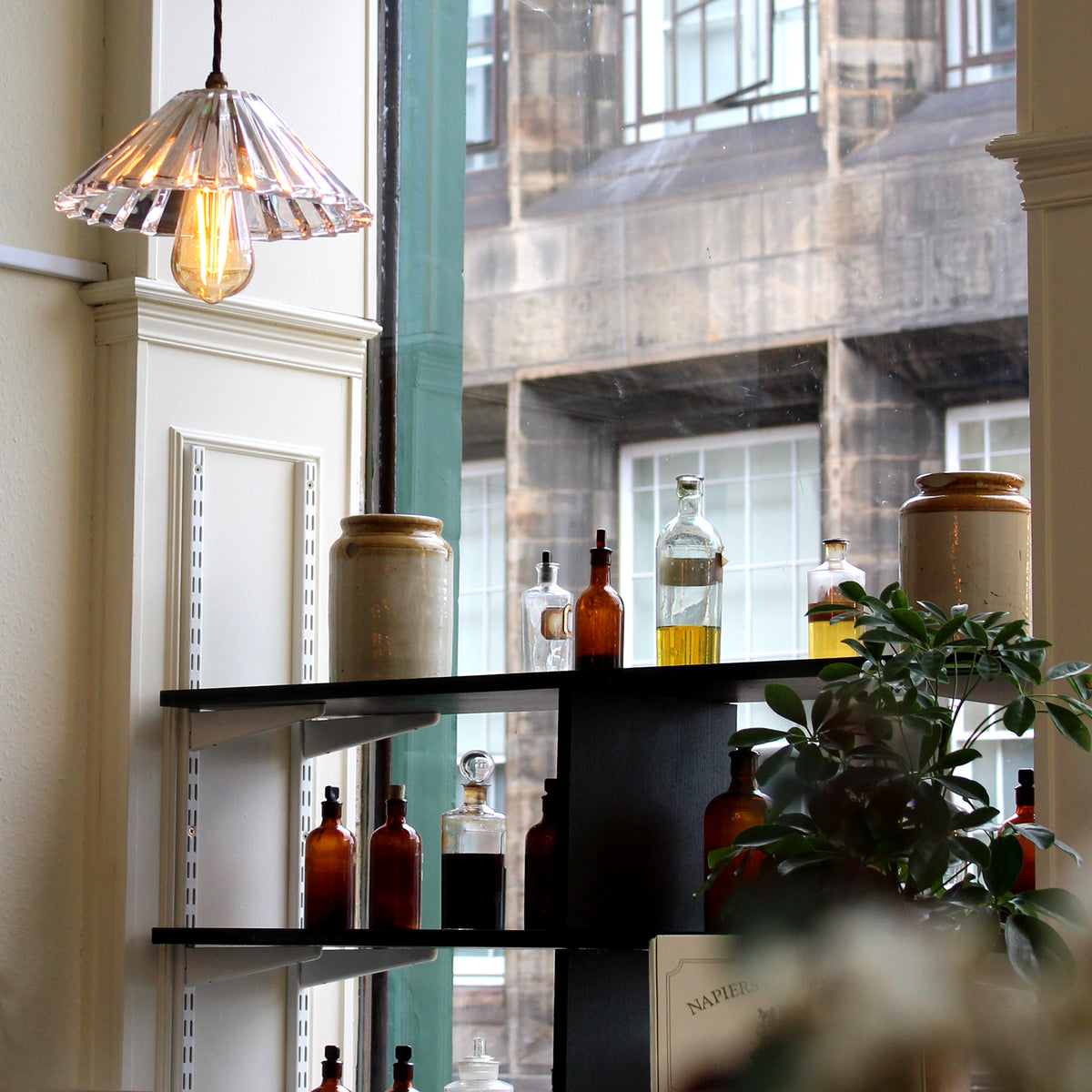 African Peach Root Glycerite (Nauclea latifolia)